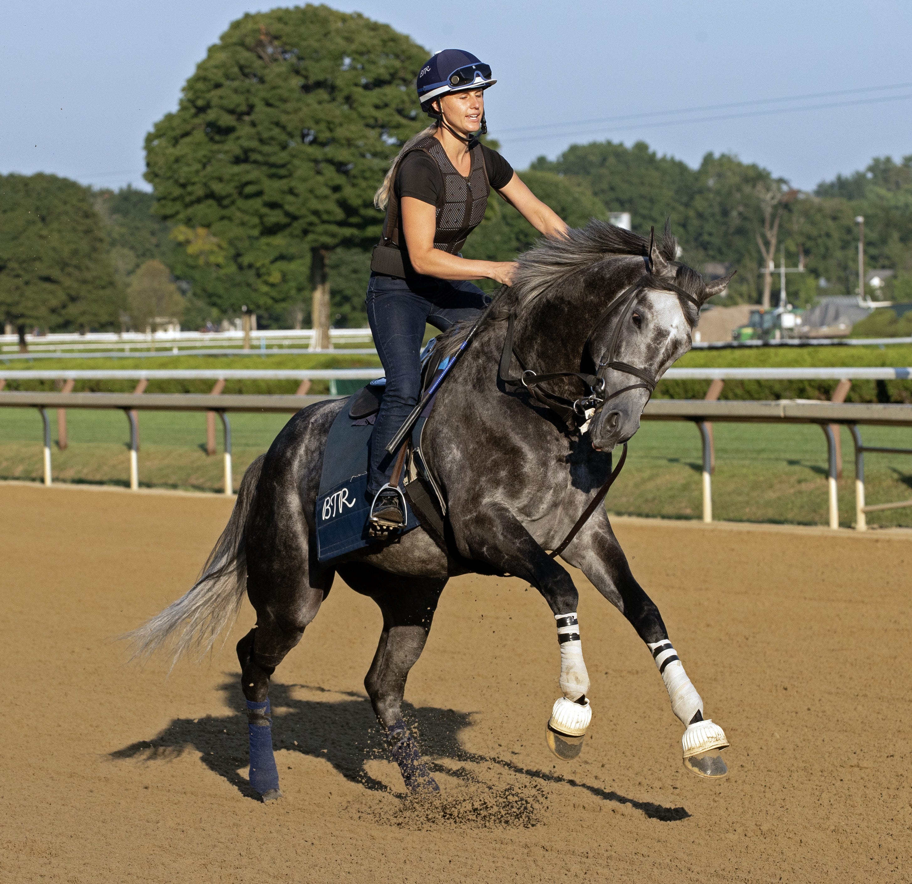 Post Time ready to take another crack at Whitney